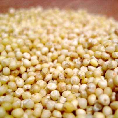 Millet Benefits (Ayurveda Insights) - Joyful Belly Ayurveda & Greek ...