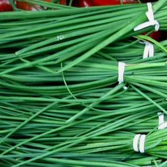 Chives Benefits (Ayurveda Insights) - Joyful Belly College of Ayurveda