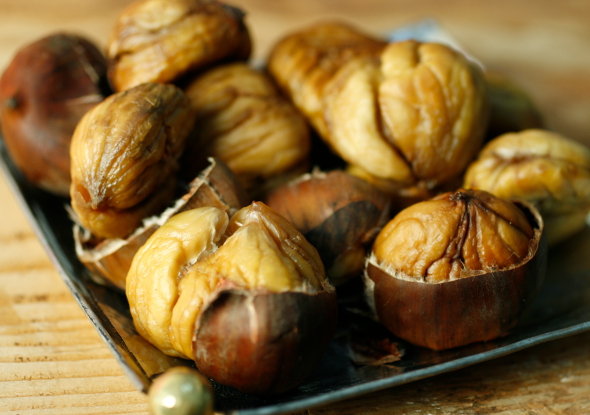 Chestnuts Benefits (Ayurveda Insights) - Joyful Belly Carolina College ...
