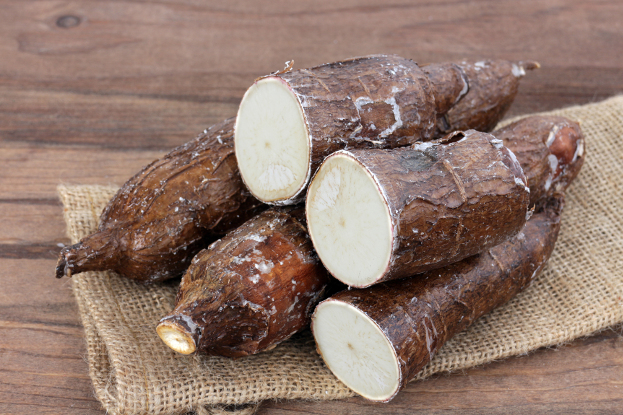Cassava Root / Yuca Benefits (Ayurveda Insights)