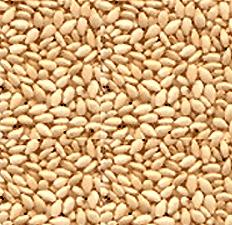 Sesame Seeds Benefits (Ayurveda Insights) - Joyful Belly College of ...