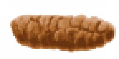 Sausage Shape Stool With Cracks On Surface Health Remedies - Joyful ...